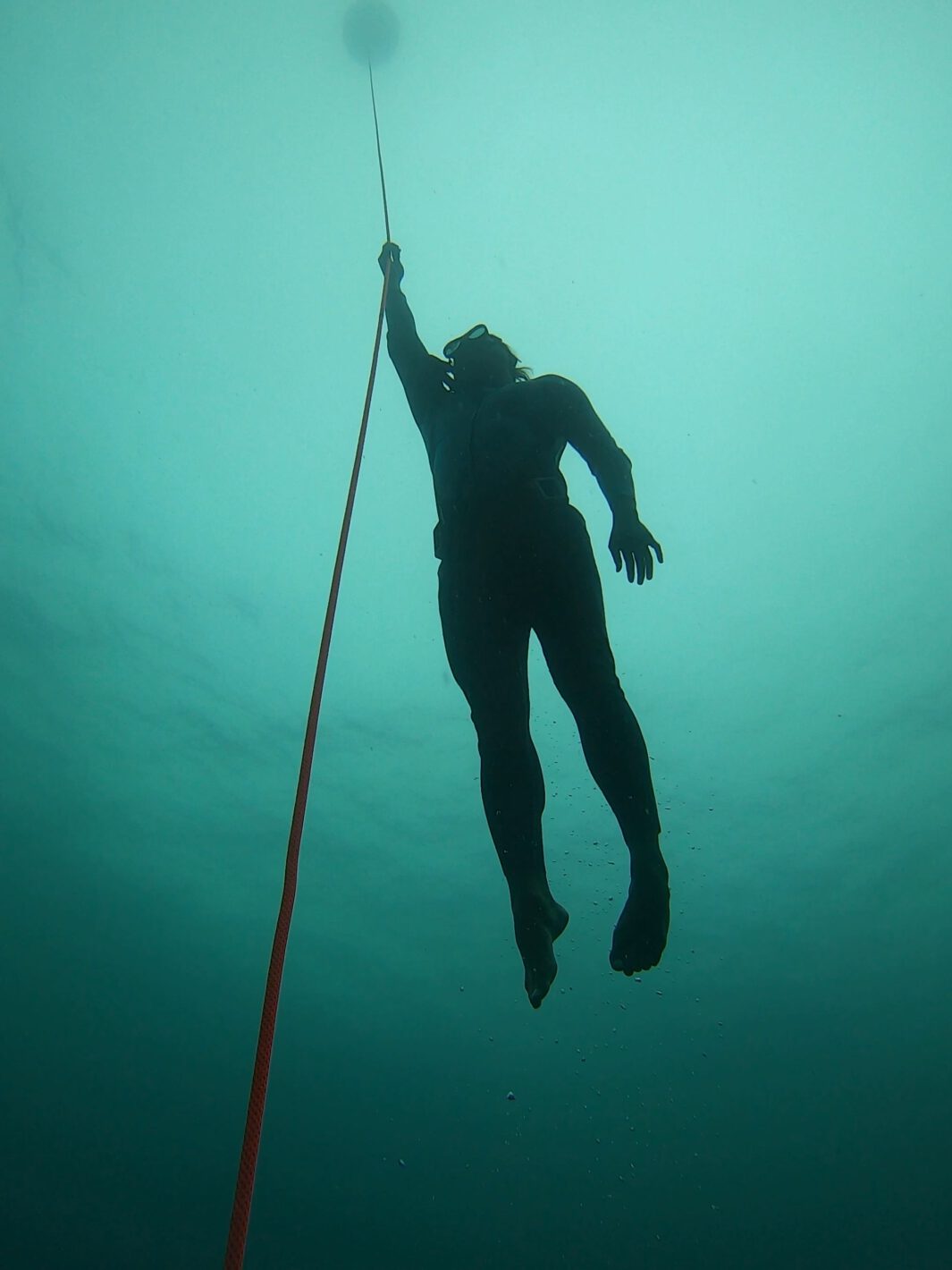 The swell is gone - let's go freediving - Blue Soul Freediving