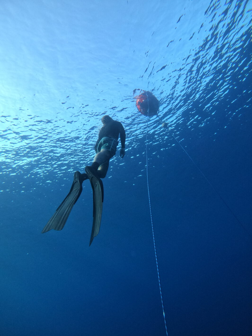 Less waves more Freediving in Siargao - Blue Soul Freediving